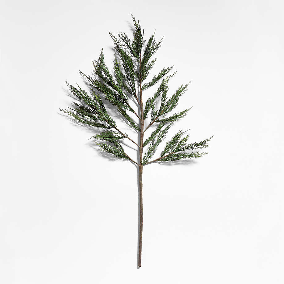 Extra Large Cypress – Pretties & Grace